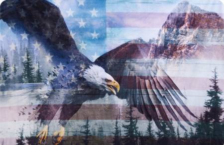 Americana Hoffman USA Panel – Sander's Sew N Vac & The Fabric Bin